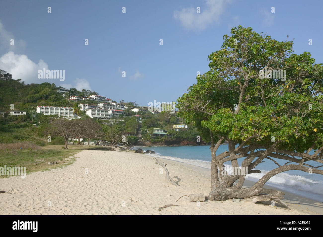 Caribbean, GRENADA, Grande Anse & Morne Rouge, Morning View of Grande ...
