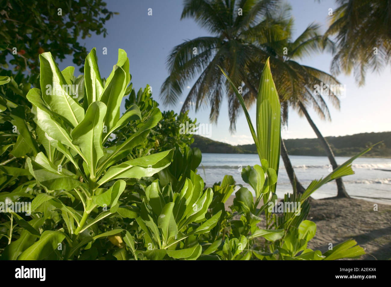Lord brownlow hi-res stock photography and images - Alamy