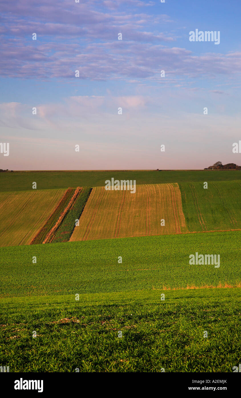 A morning country scene looking over fields of farmland from the top of ...