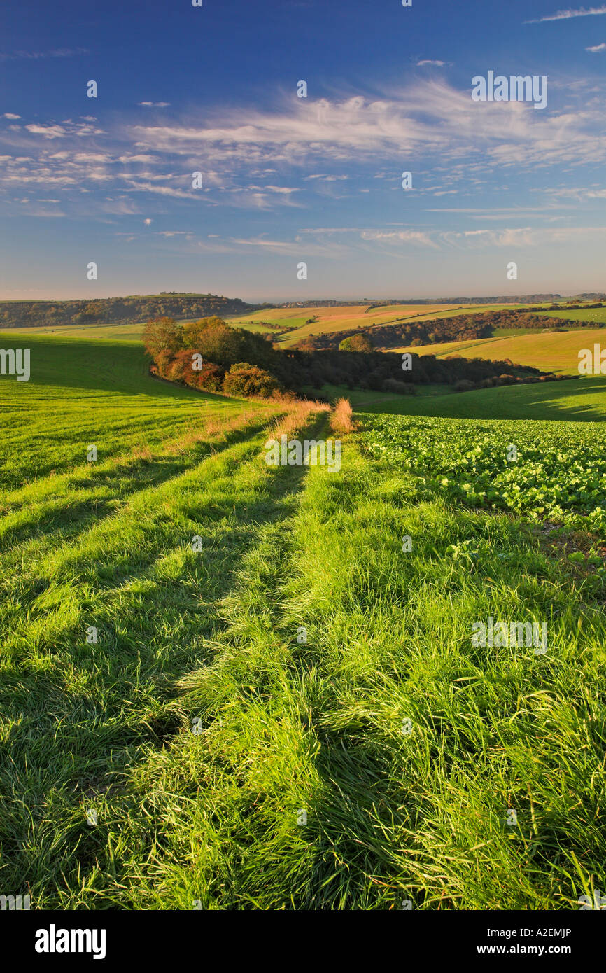 A morning country scene looking over fields of farmland from the top of ...