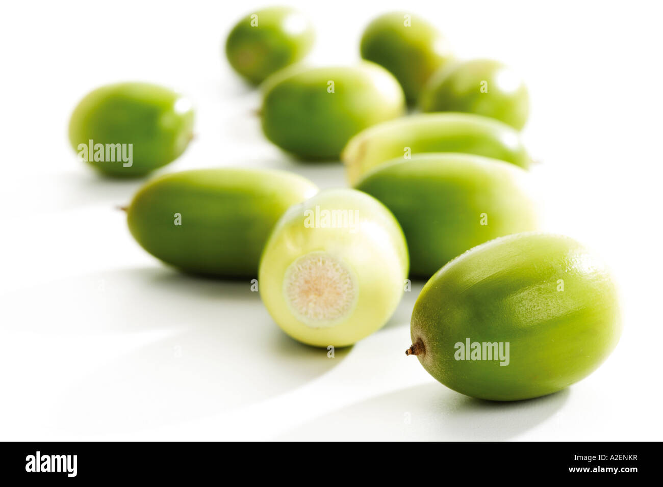 English Oak Fruit Acorn Cut Out Stock Images & Pictures - Alamy