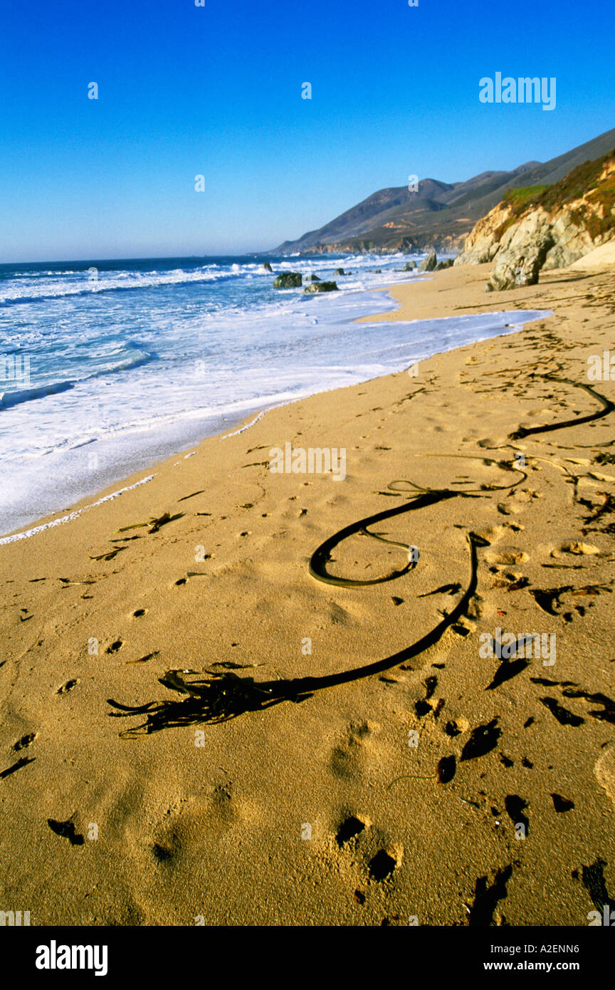 California Monterey area Scenic of Garrapata Beach Garrapata State Park ...