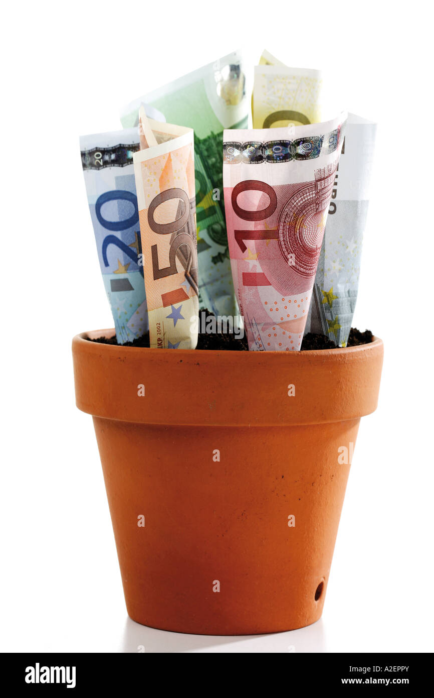 Euro notes in flower pot Stock Photo - Alamy