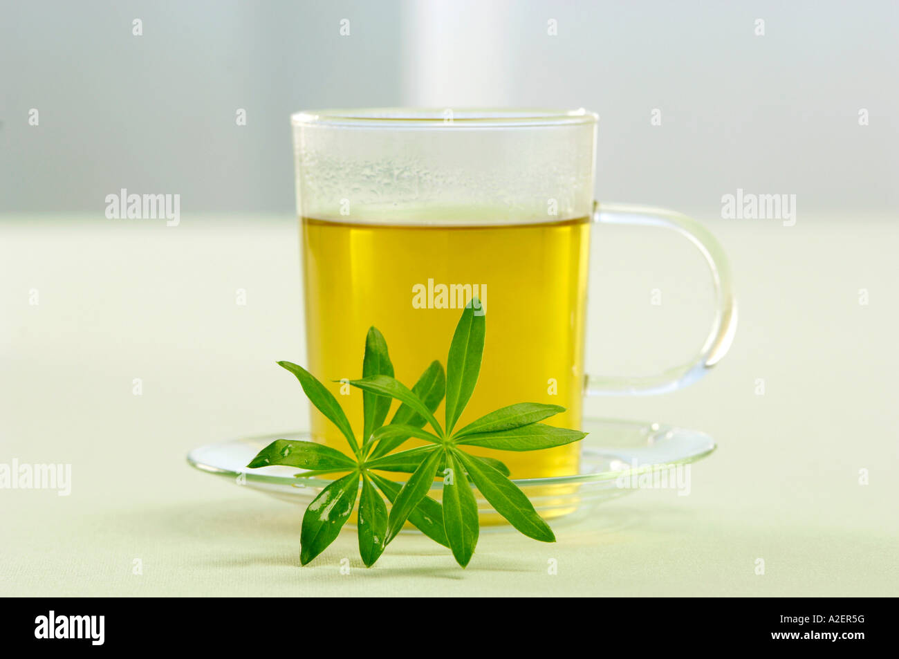 Woodruff tea hi-res stock photography and images - Alamy