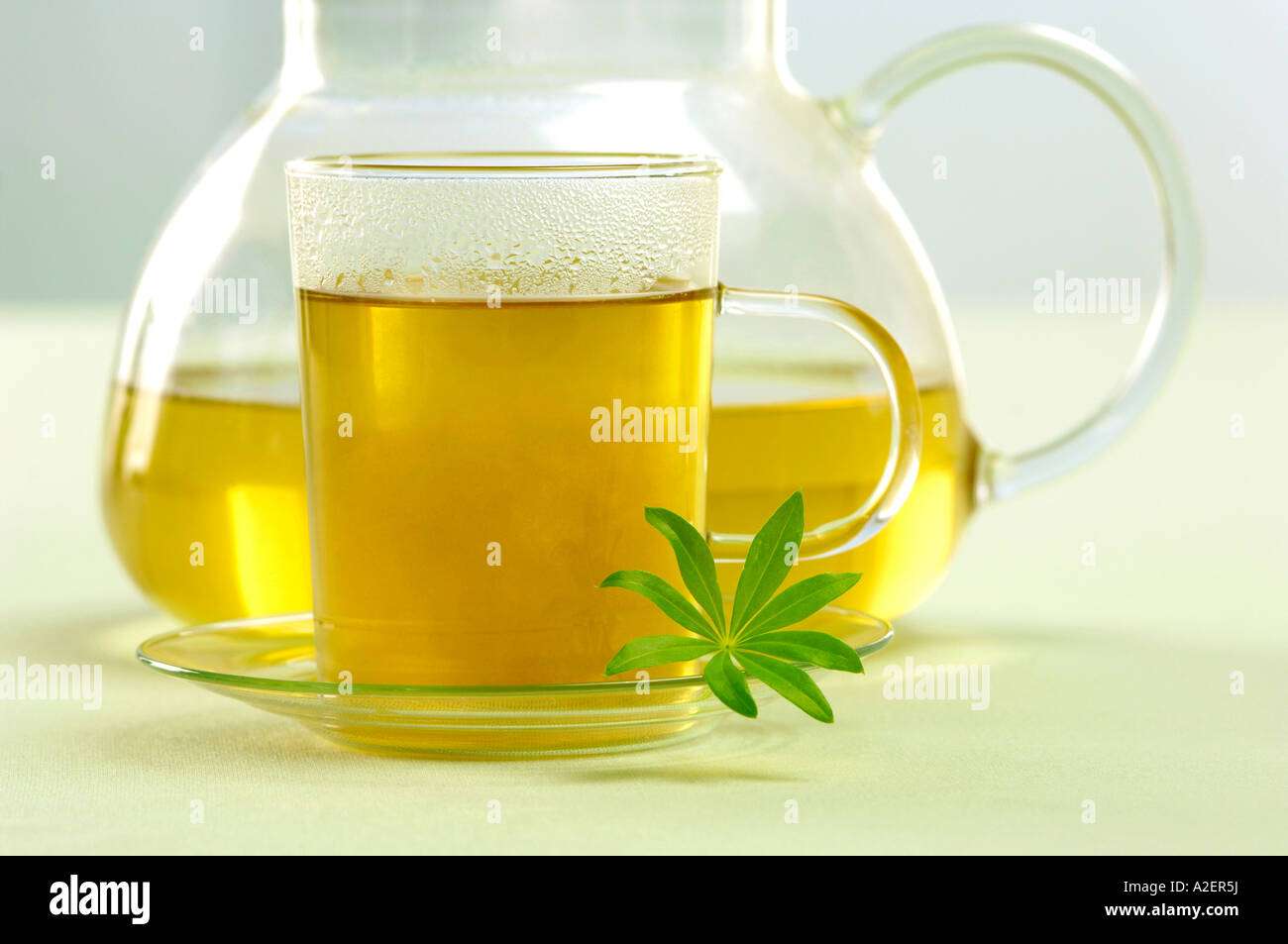 Glass and tea pot of woodruff tea Stock Photo - Alamy