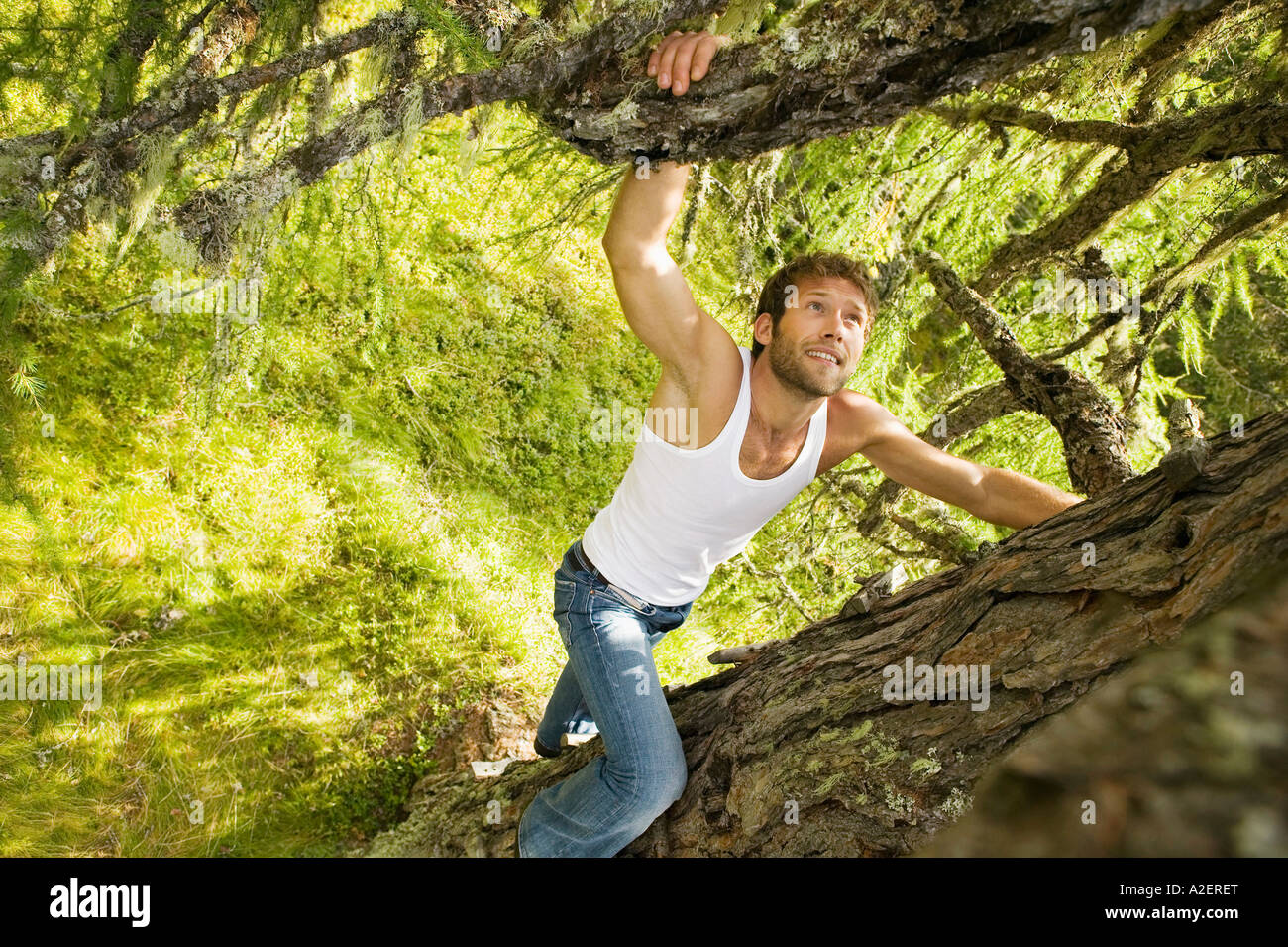 Young man climbing on tree, elevated view Stock Photo - Alamy