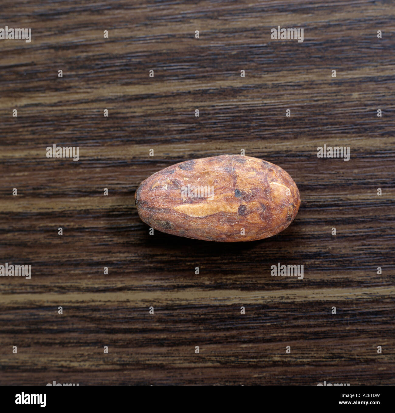 Single cocoa bean, elevated view Stock Photo - Alamy