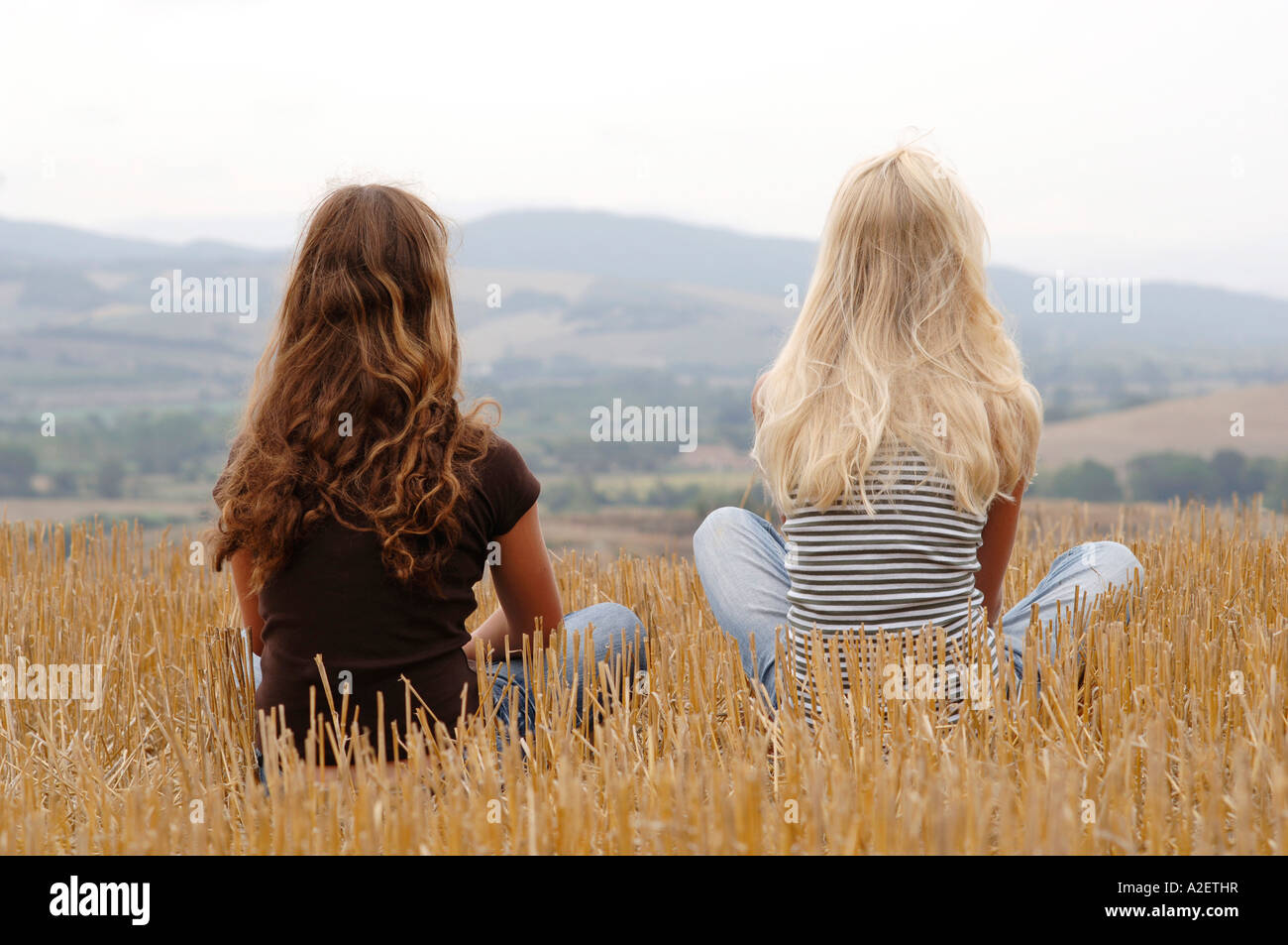 Girls sitting in corn field, rear view Stock Photo - Alamy