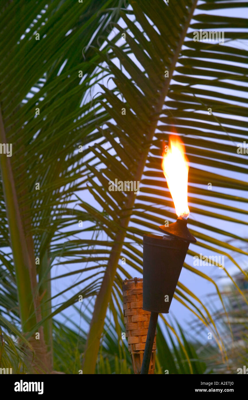 Caribbean, TURKS & CAICOS, Providenciales Island, Turtle Cove: Beach ...