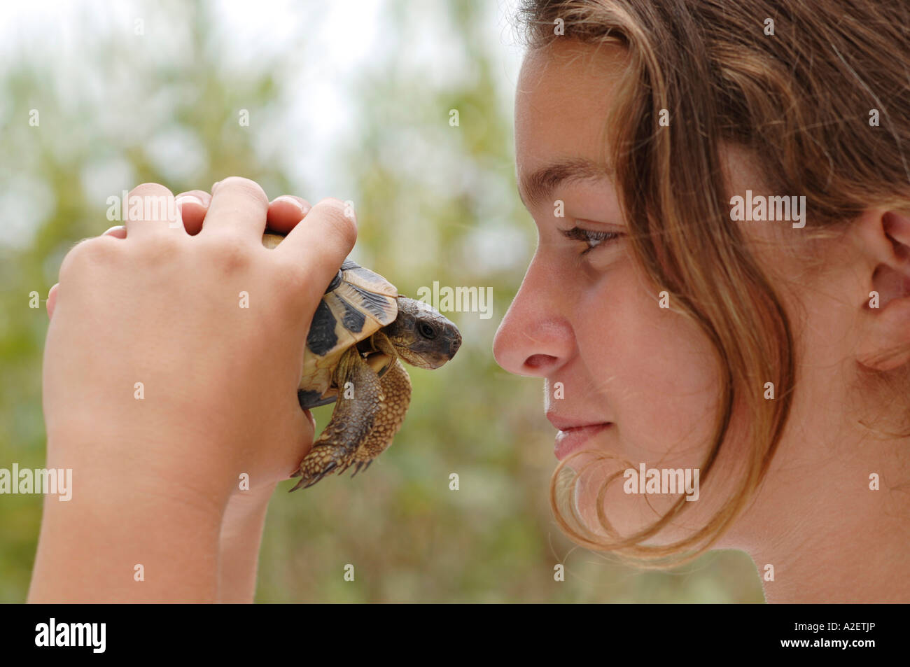 Teenage girl holding turtle, close-up Stock Photo - Alamy