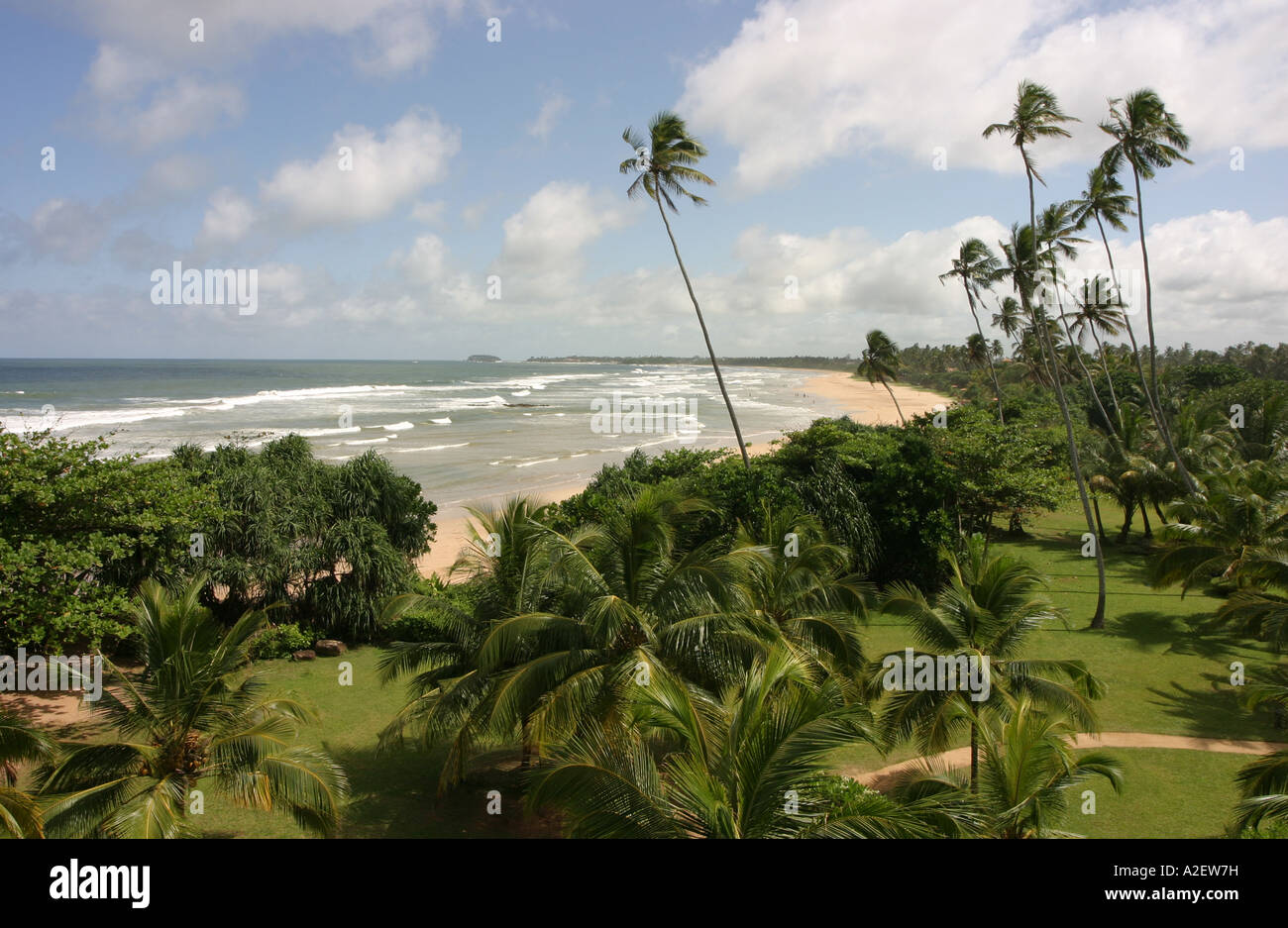 Sri Lanka landscape -Tropical beach;- Bentota Beach, with palm trees ...