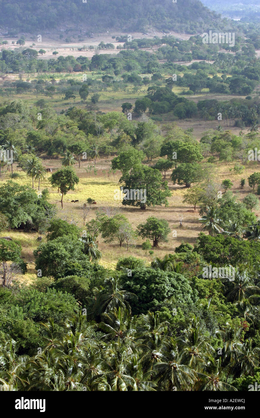 Jungle plains hi-res stock photography and images - Alamy