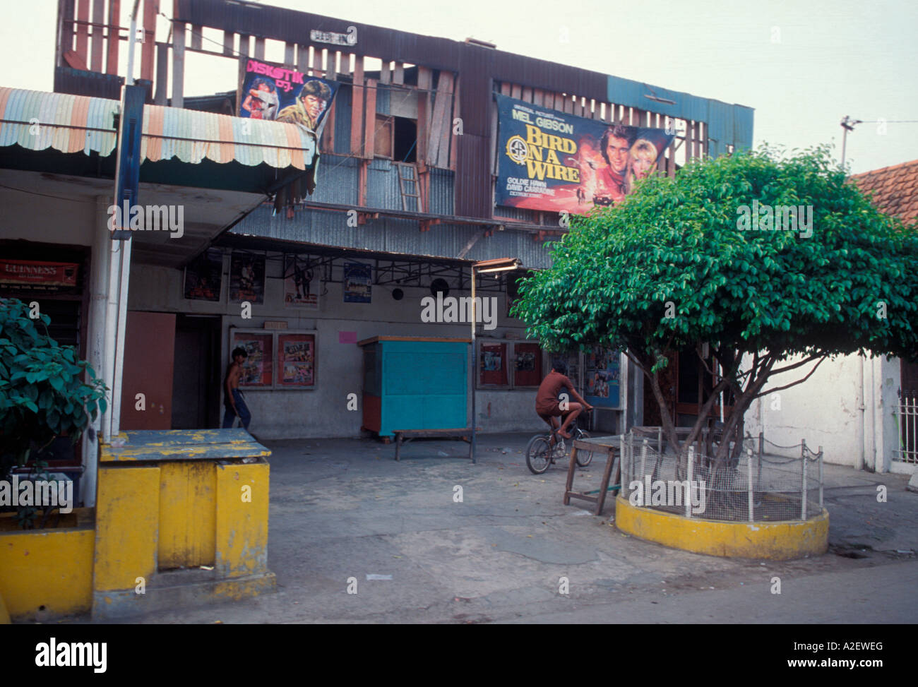 Surabaya tree hi-res stock photography and images - Alamy