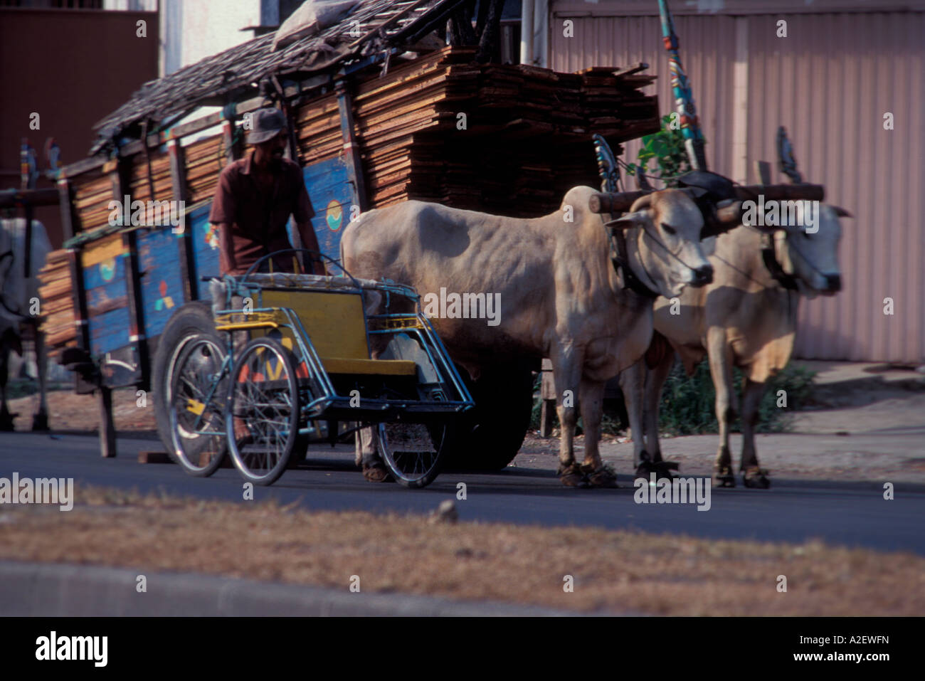 Cattle cart Surabaya Indonesia Stock Photo - Alamy