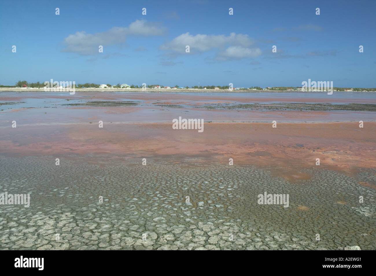 Caribbean, TURKS & CAICOS, Salt Cay Island, Balfour Town: Town View ...