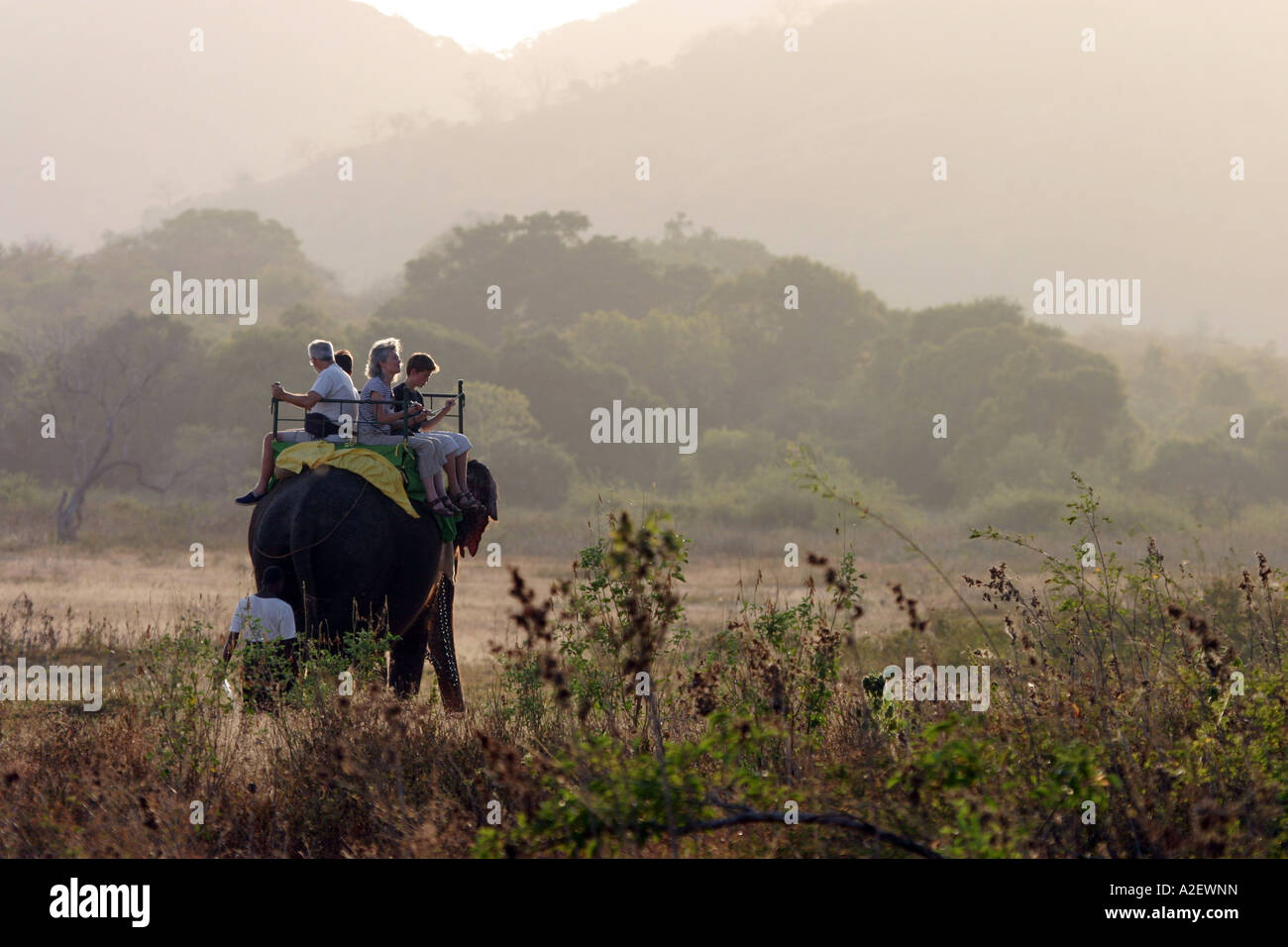 Sri Lanka holiday - A family taking an elephant ride into the distance ...