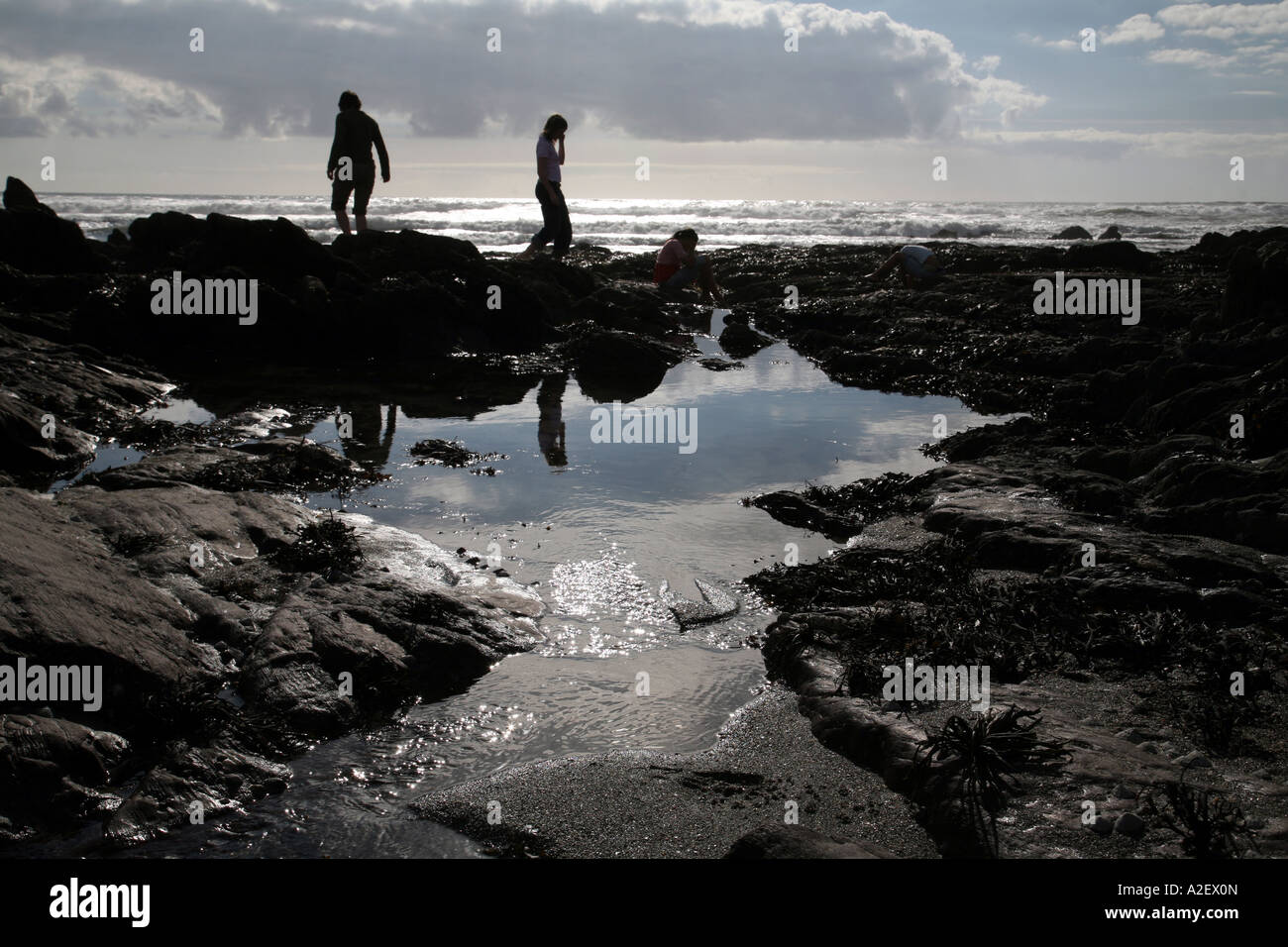 Two people crabbing, Cornwall, England Stock Photo - Alamy