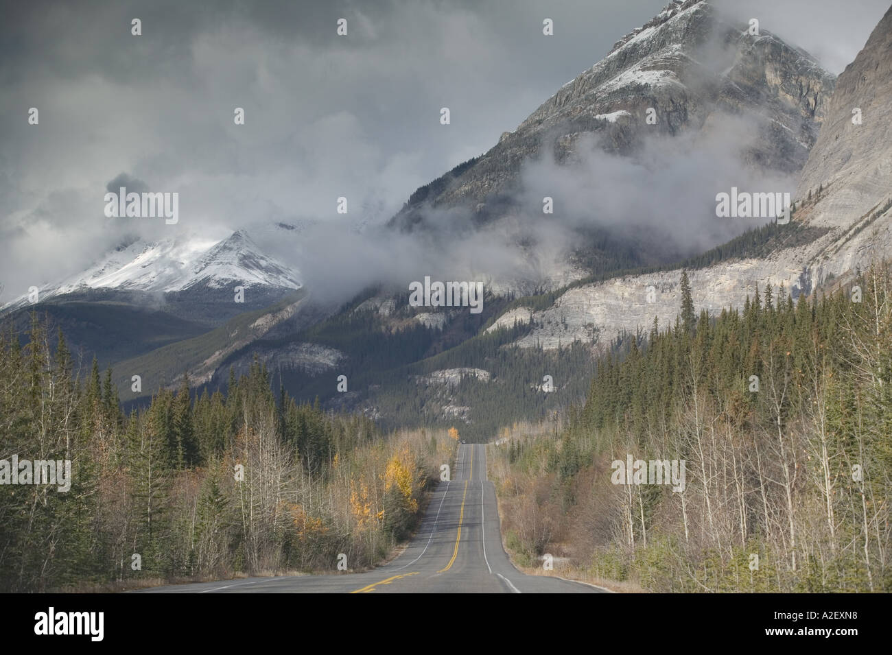 Canada, Alberta, Banff National Park: Sakatchewan Crossing, Icefields ...