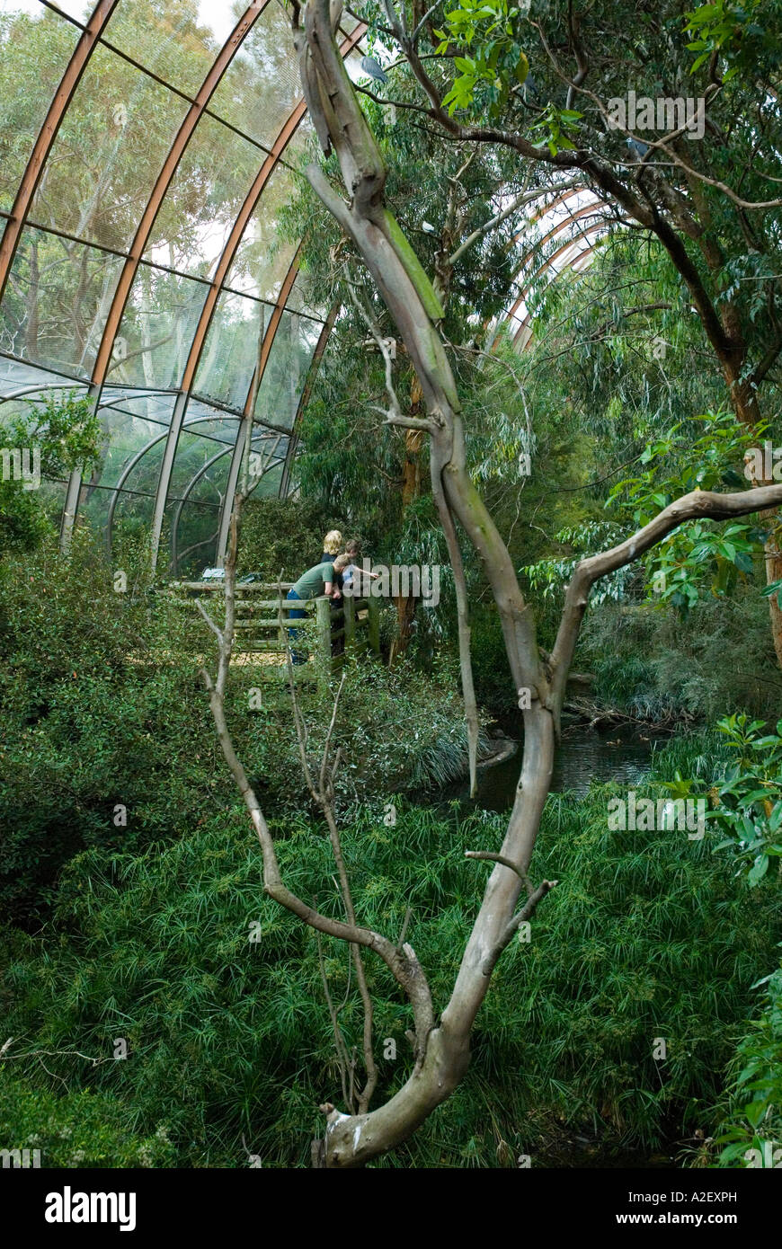 Three boys in Great Flight Aviary Royal Melbourne Zoological Gardens ...