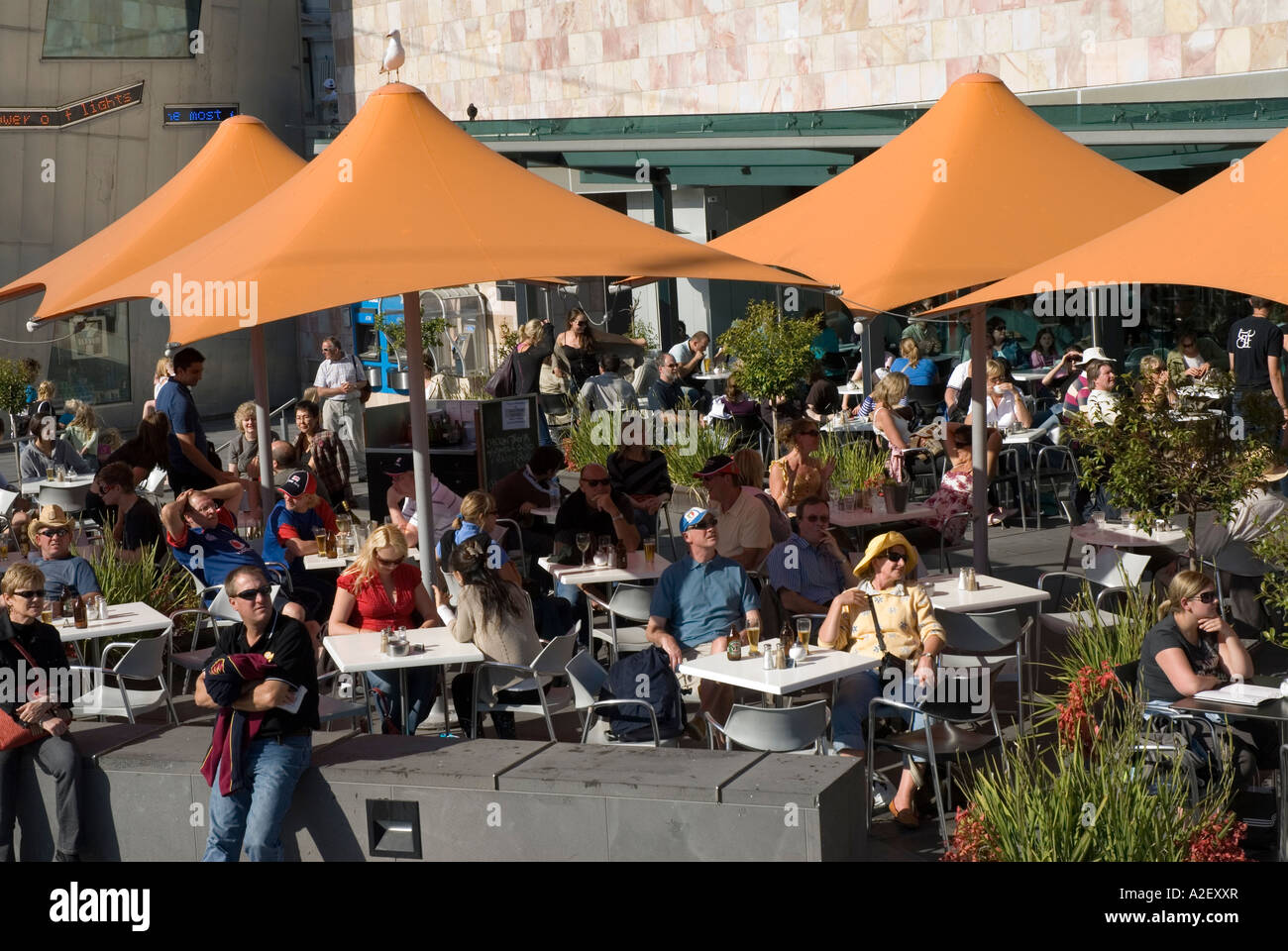 Globetrotter cafe hi-res stock photography and images - Alamy