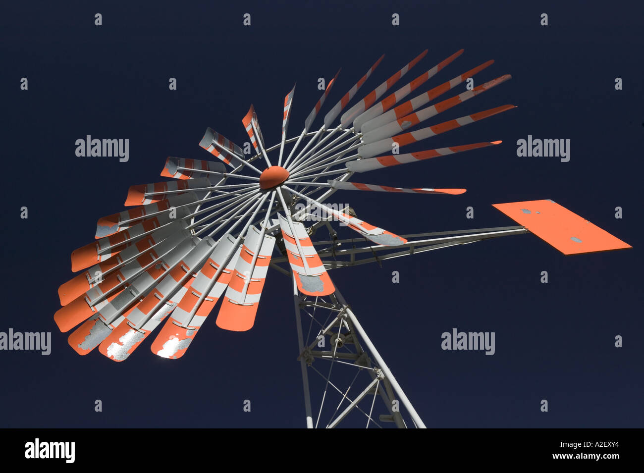 Canada, Alberta, Calgary: Eau Claire Market, Decorative Prairie ...