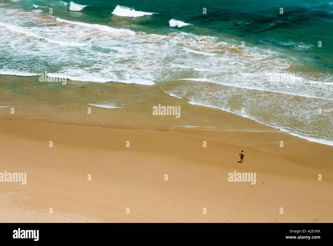 Castle Cove beach Great Ocean Road Great Otway National Park Victoria ...