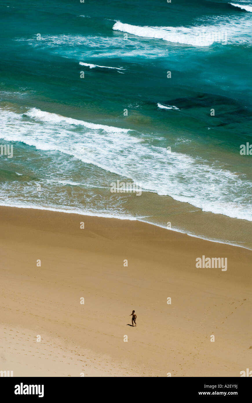 Castle Cove beach Great Ocean Road Great Otway National Park Victoria ...