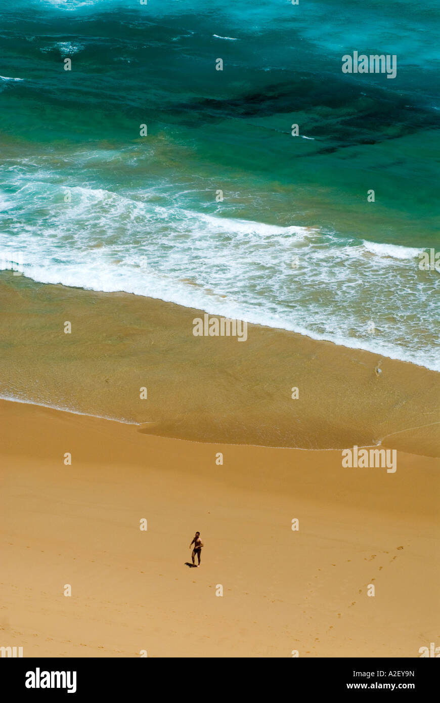 Castle Cove beach Great Ocean Road Great Otway National Park Victoria ...