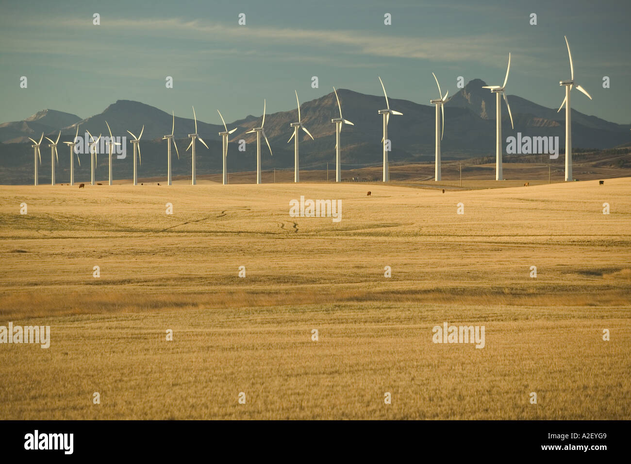 Cowley alberta hi-res stock photography and images - Alamy