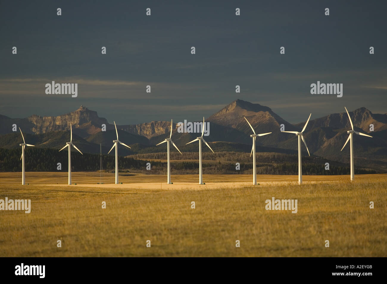 Cowley ridge wind farm hi-res stock photography and images - Alamy