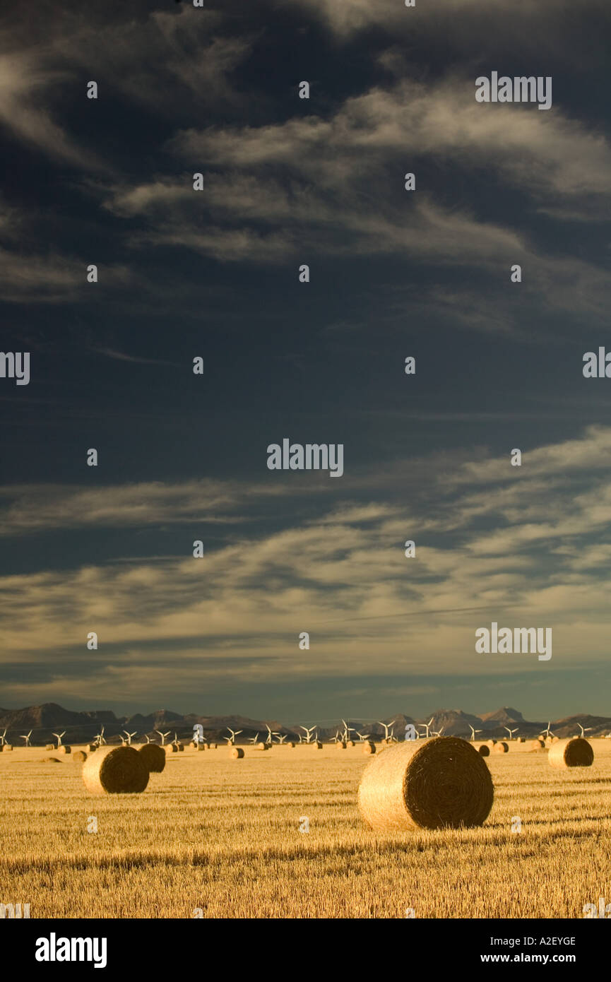 Cowley ridge wind farm hi-res stock photography and images - Alamy