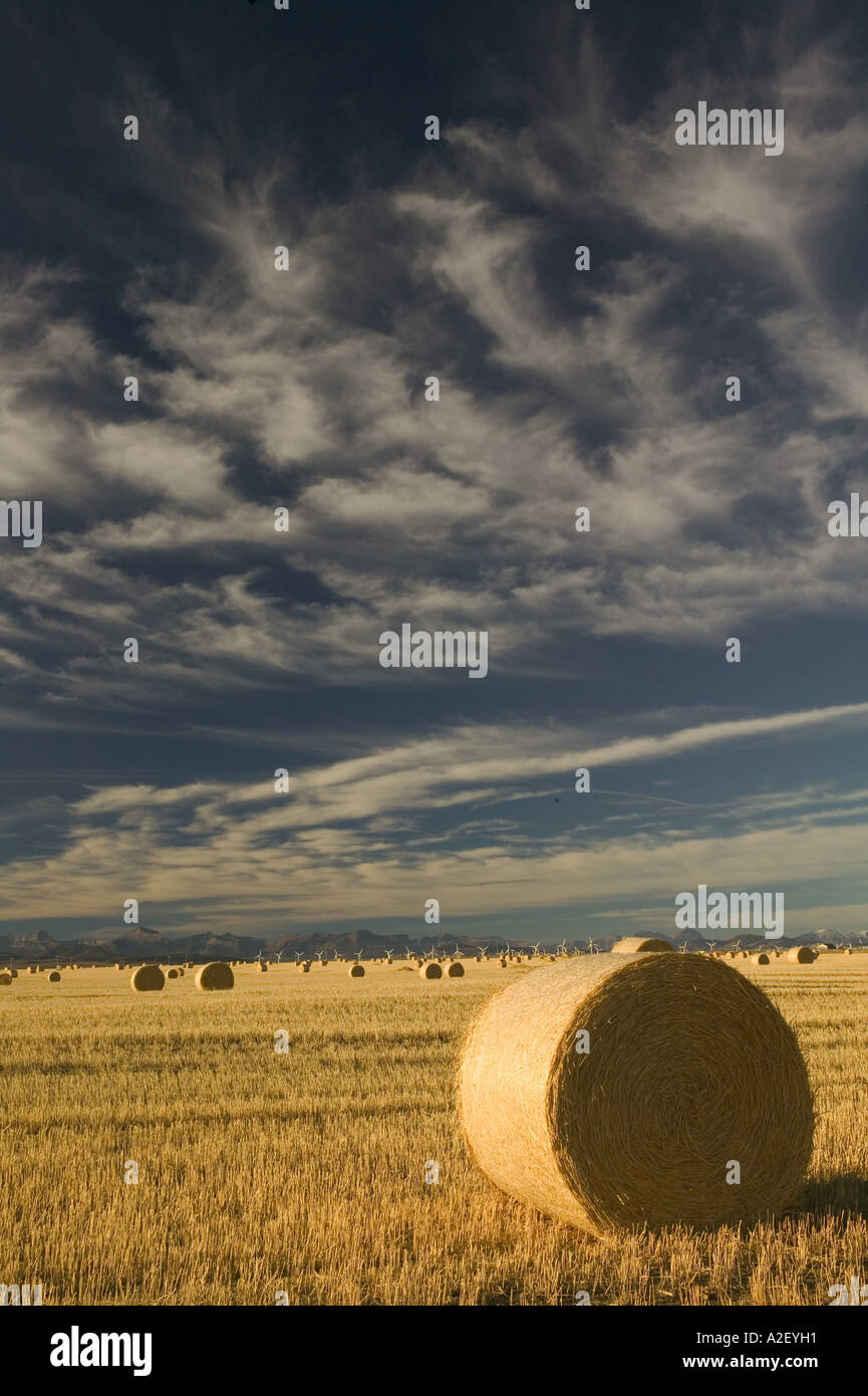 Cowley ridge wind farm hi-res stock photography and images - Alamy