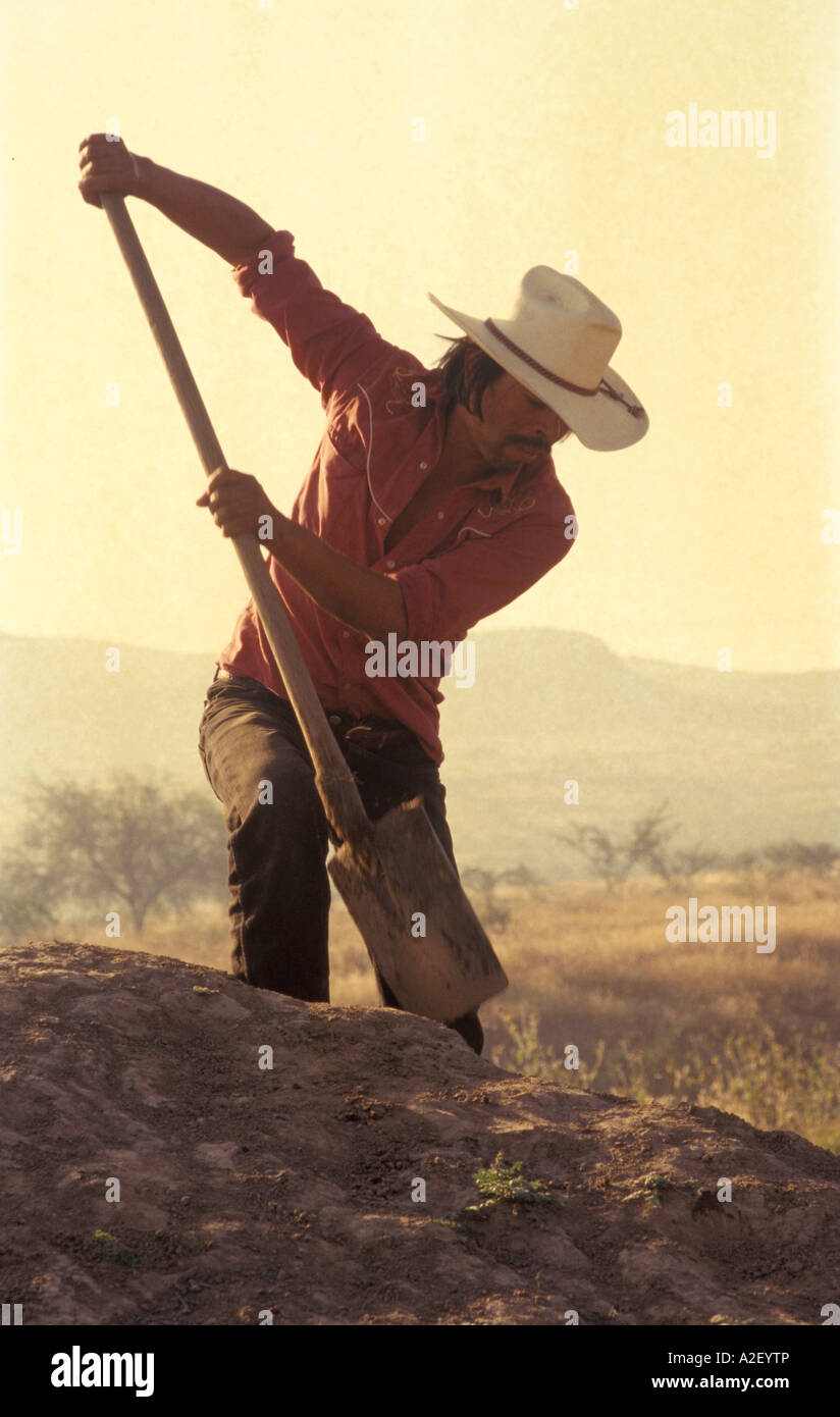 Day laborer mexico hi-res stock photography and images - Alamy