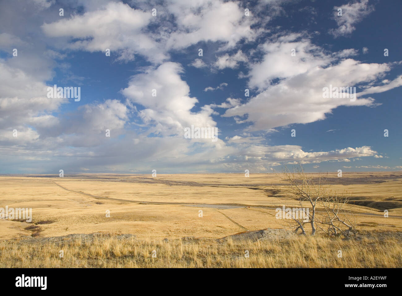Canada, Alberta, Fort Macleod: Head Smashed In Buffalo Jump Landscape ...