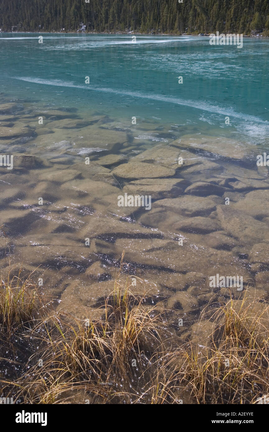 Canada, Alberta, Jasper National Park: JASPER, Ice Covered Lake Detail ...