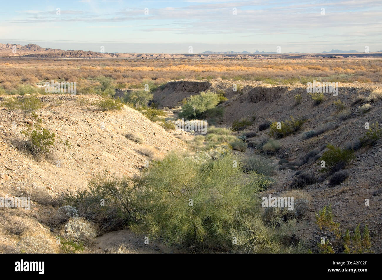 arroyo to the Colorado River, California Stock Photo - Alamy