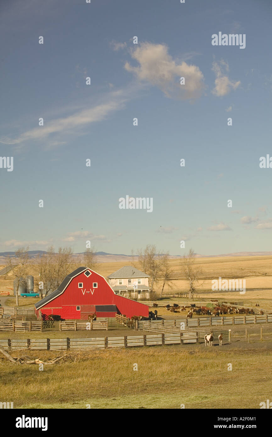 Canada, Alberta, Pincher Creek: Red Barn & Ranch Stock Photo - Alamy