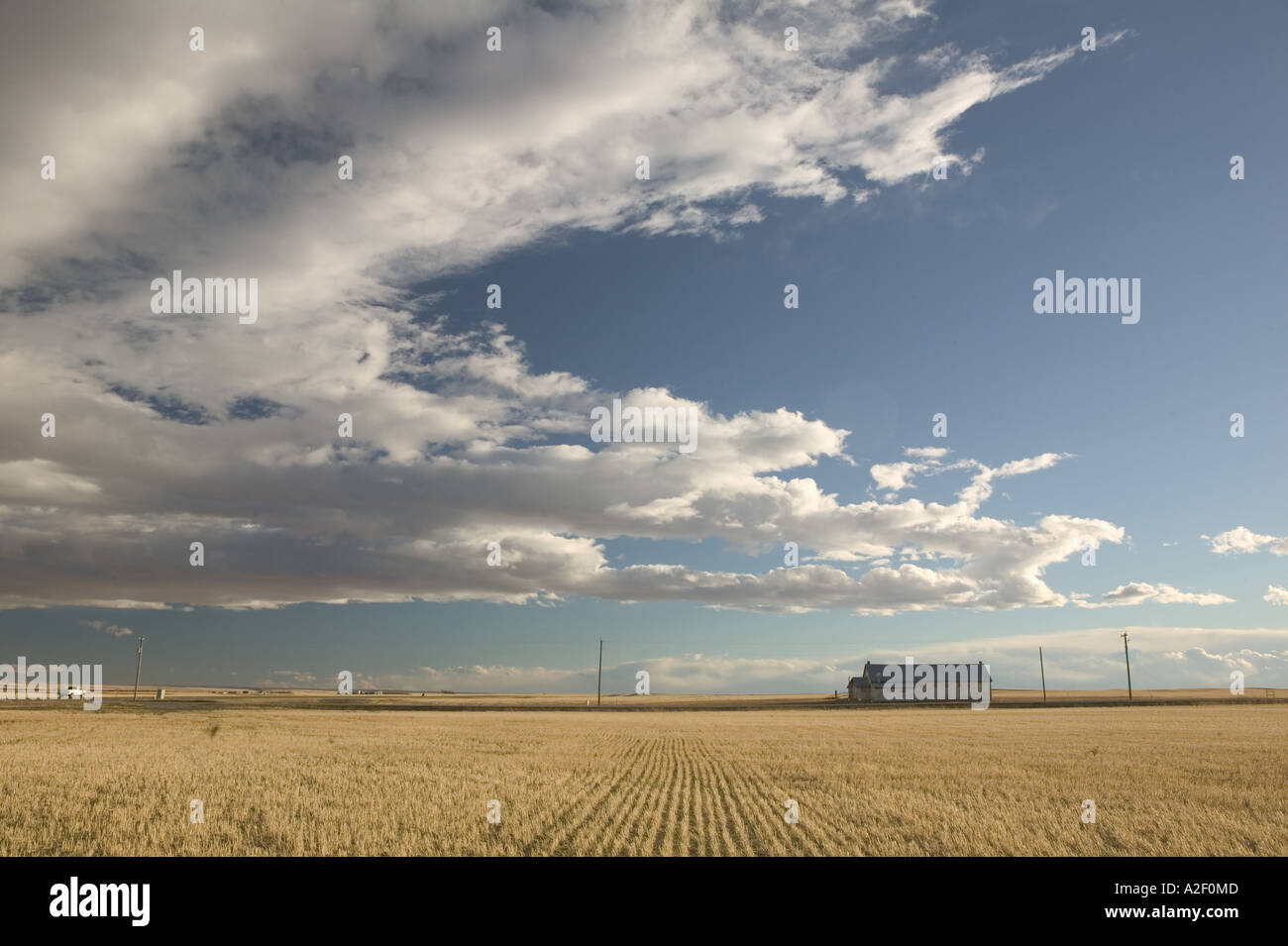 Stand off hi-res stock photography and images - Alamy