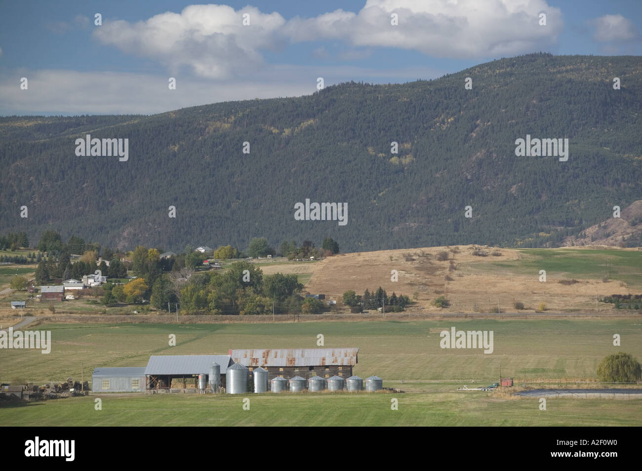 CANADA, British Columbia, Armstrong Cattle Ranch, Landscape Stock Photo ...