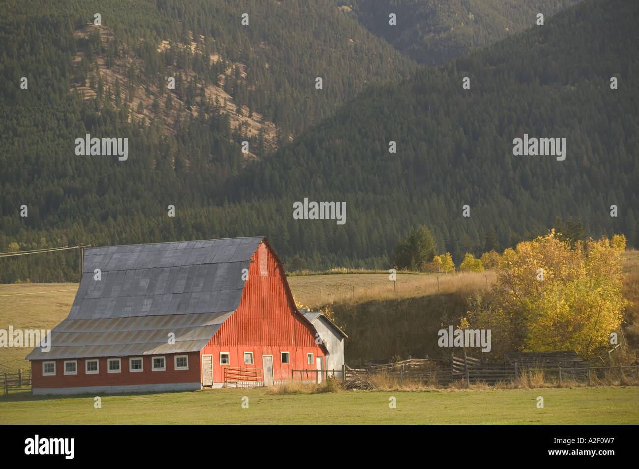 Enderby british columbia hi-res stock photography and images - Alamy