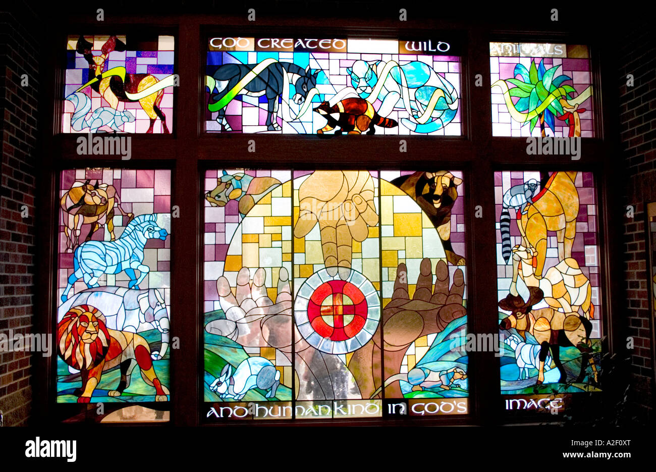 Church stain glass window creation of man and animals. First Lutheran ...