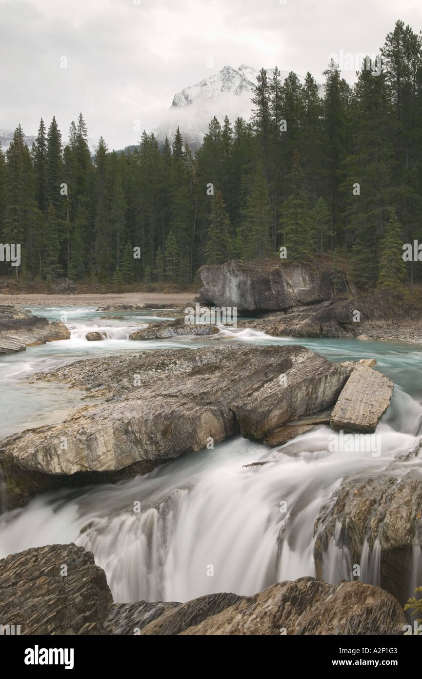 River waterfall yoho national park british columbia canada hi-res stock ...
