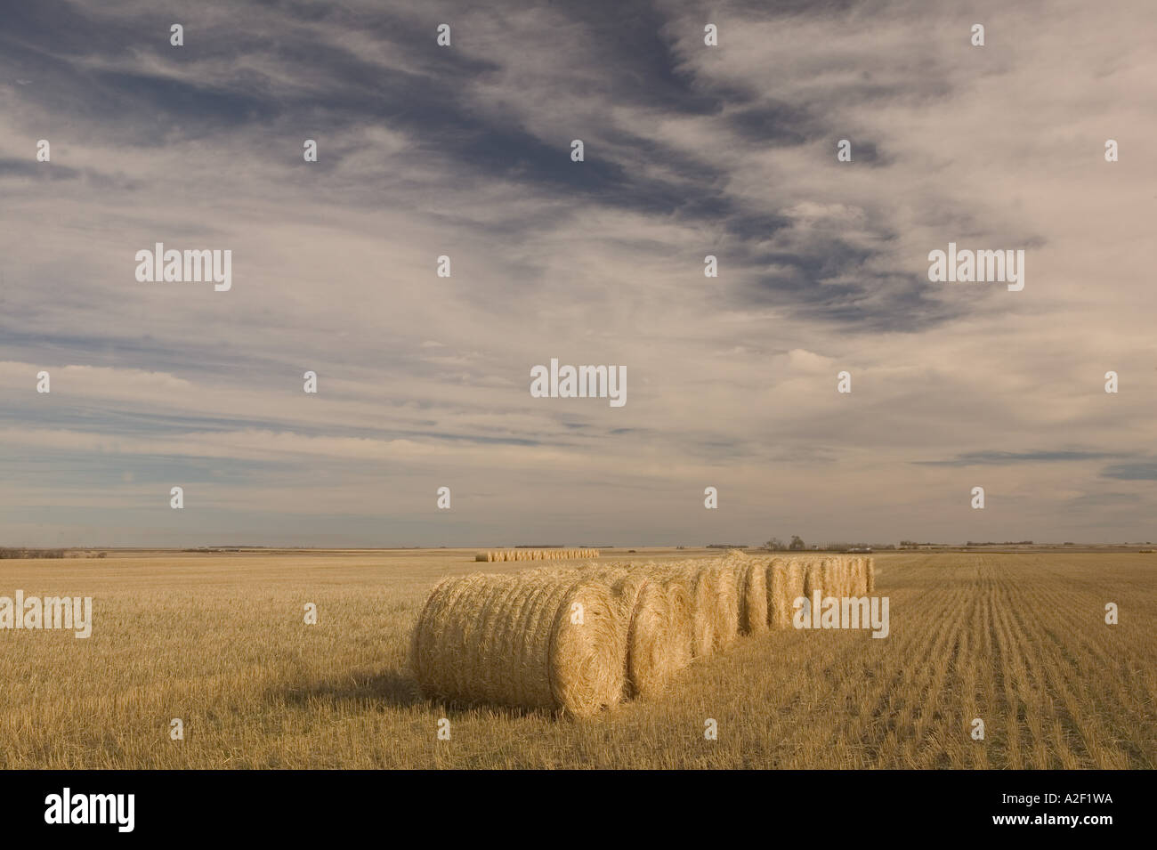 Craik saskatchewan hi-res stock photography and images - Alamy
