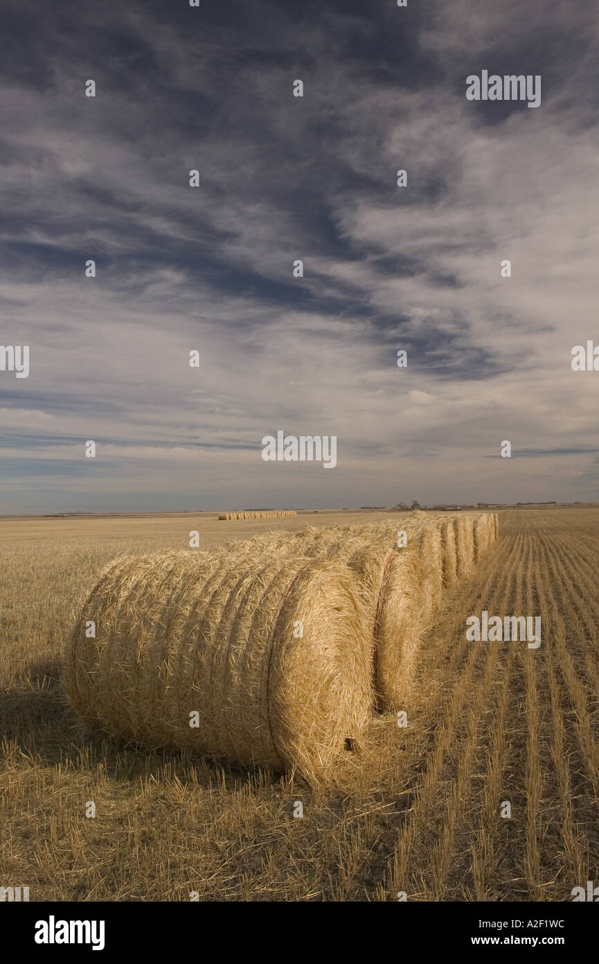 Craik saskatchewan hi-res stock photography and images - Alamy