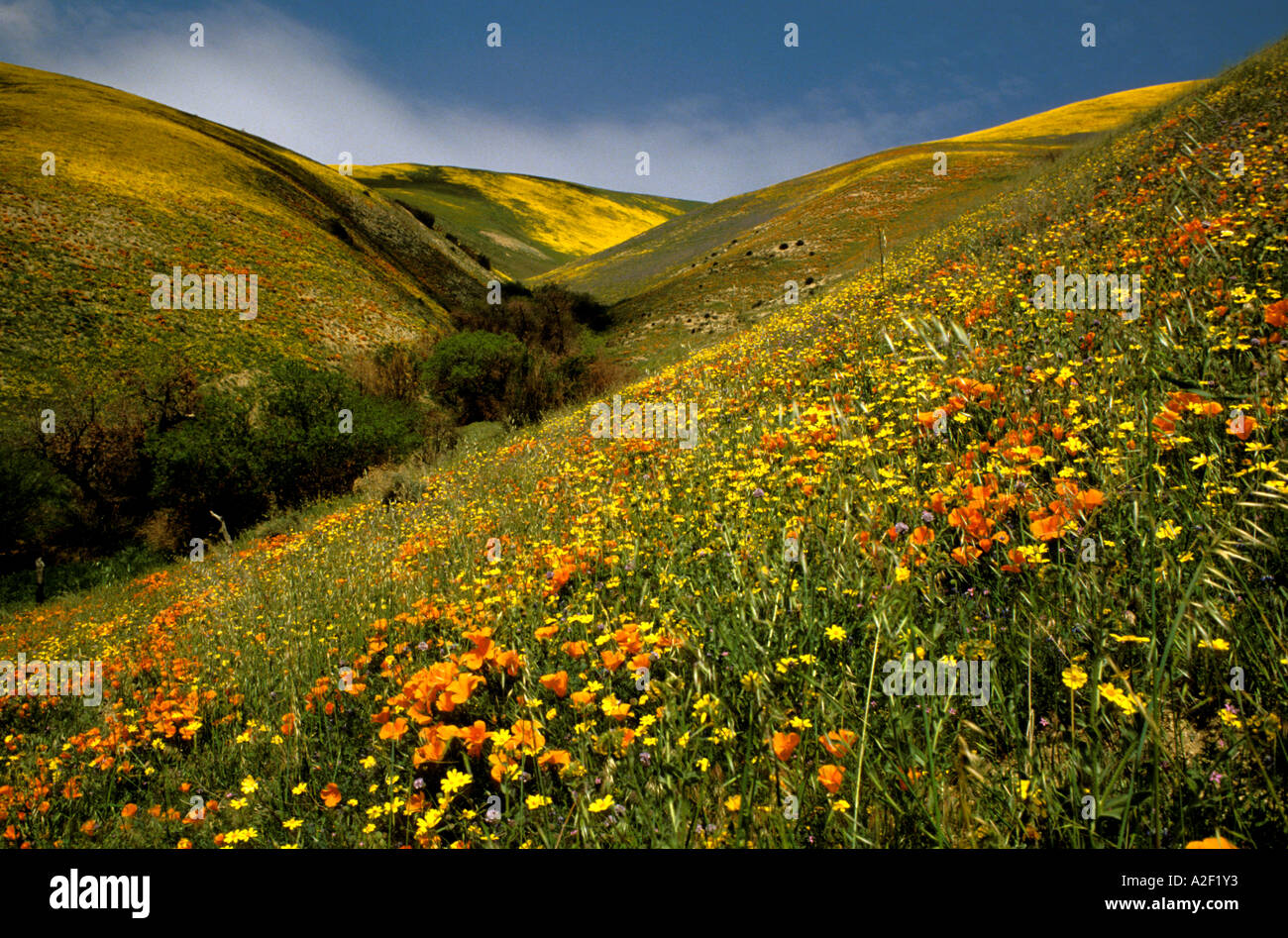 Gorman california hi-res stock photography and images - Alamy
