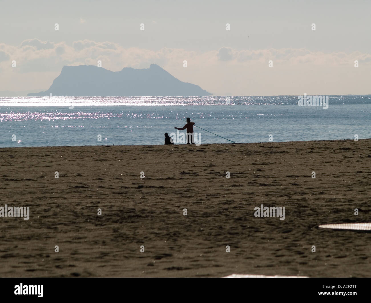 Angler fish sea beach hi-res stock photography and images - Alamy
