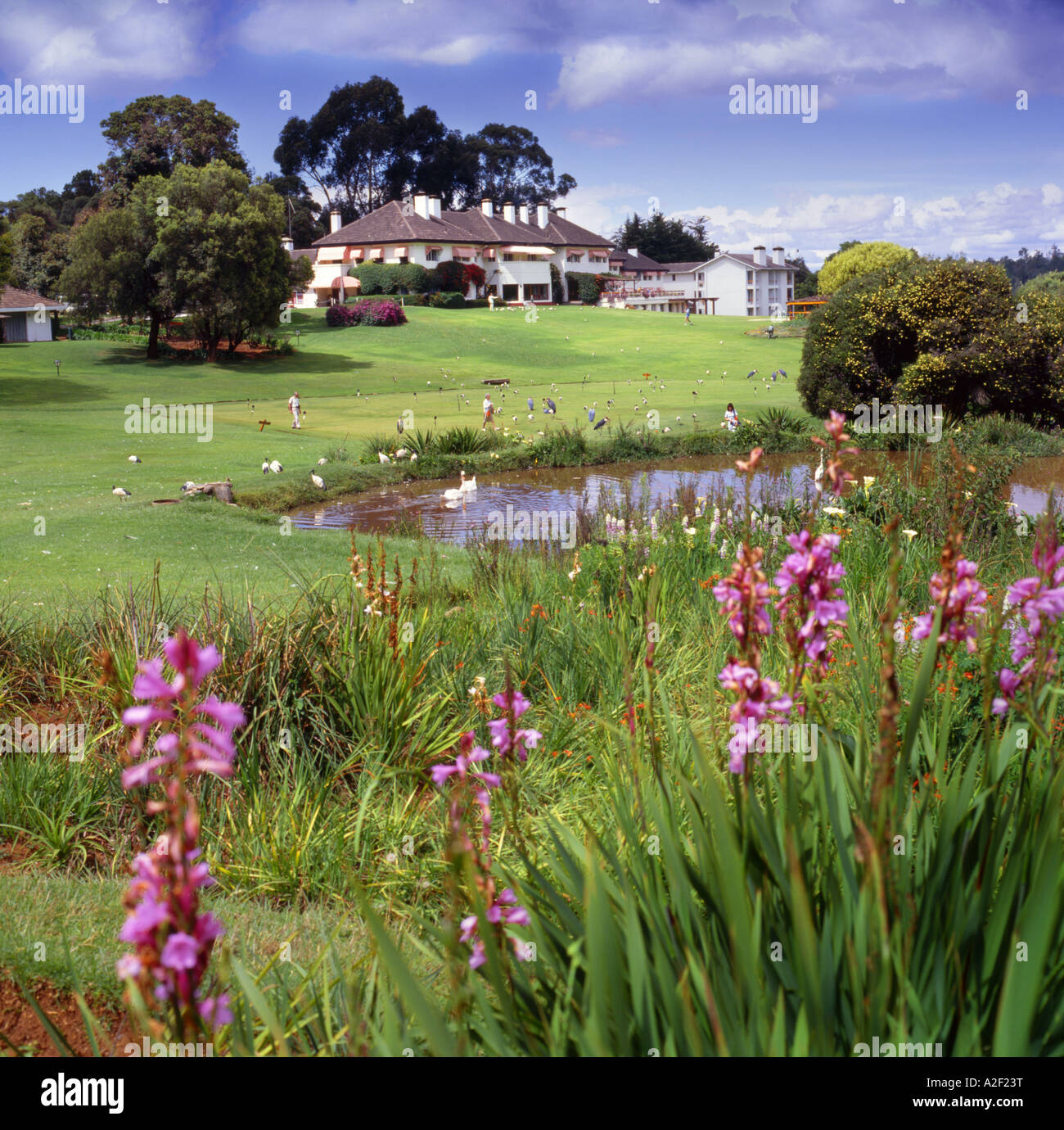The Mount Kenya Safari Club Stock Photo - Alamy