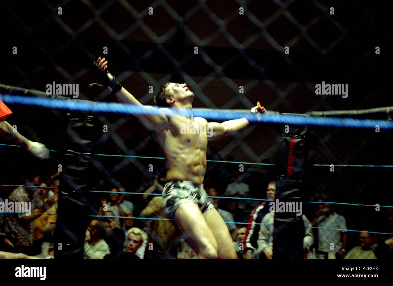 Winner of a cage combat competition Stock Photo - Alamy