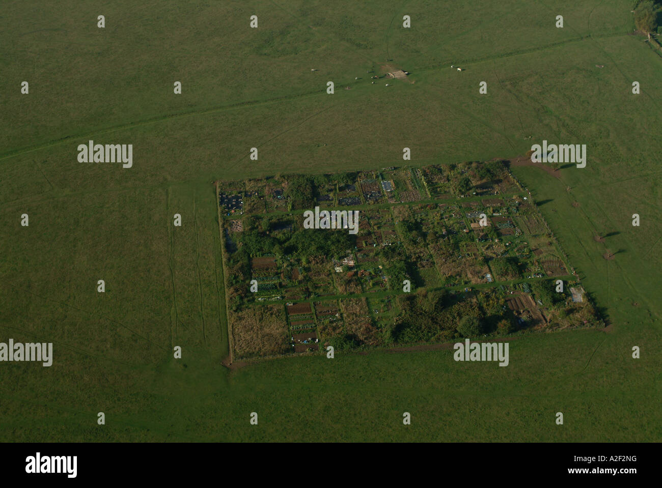 Aerial view of allotments on Wolvercote Common, Oxford, England, UK ...