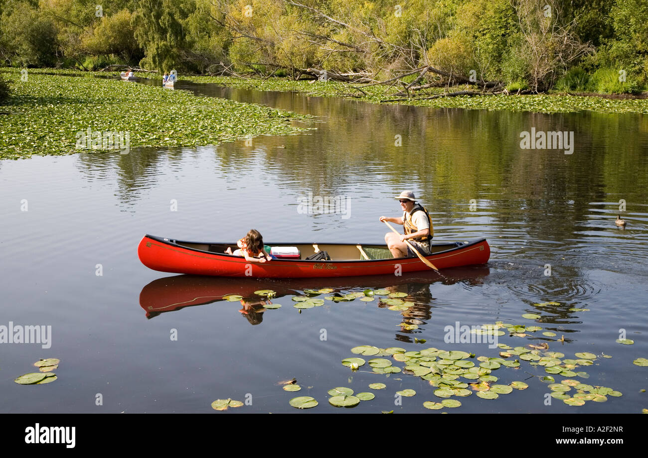 Adult and child in canoe in backwaters off Lake Washington Seattle USA ...